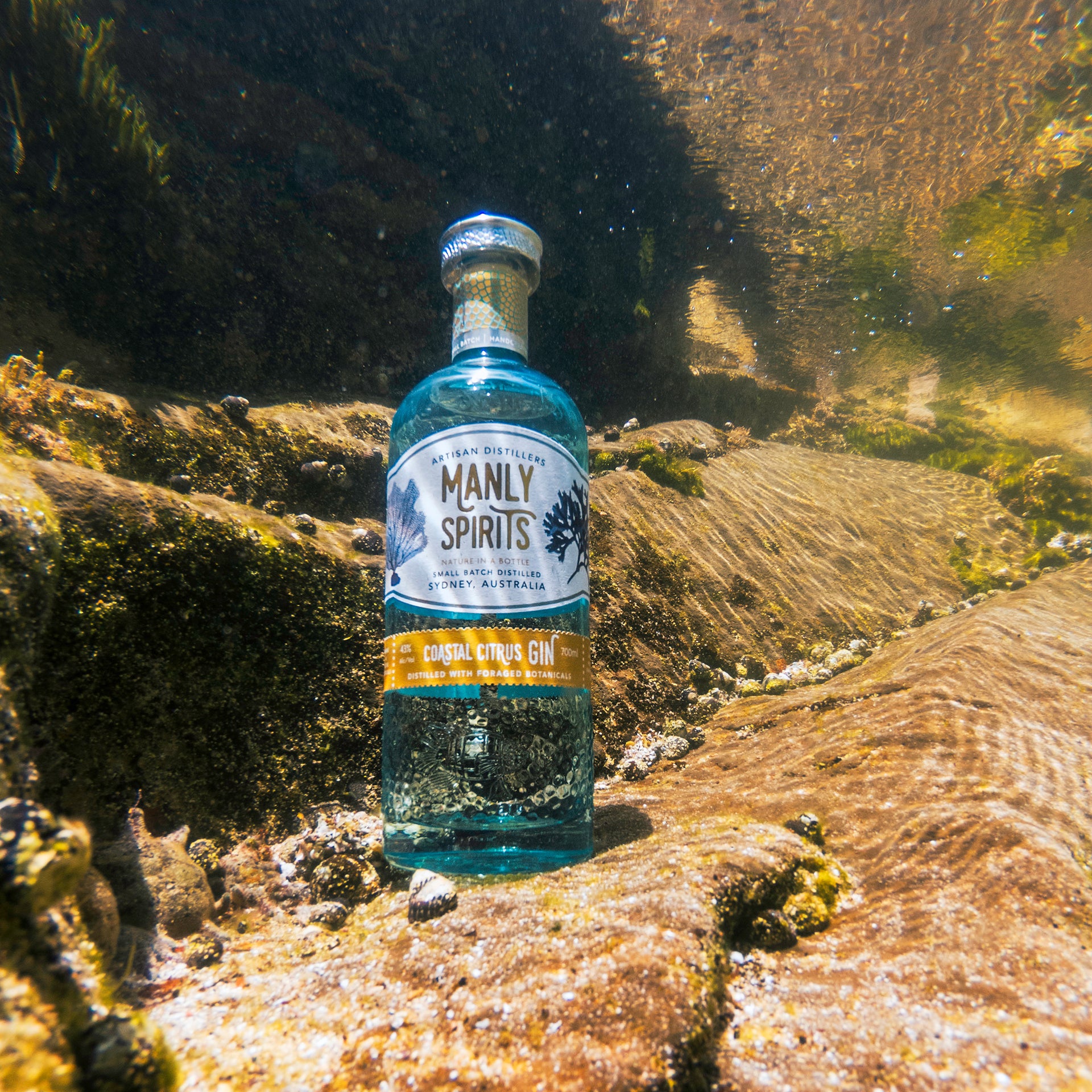 Coastal Citrus Gin | Shop Citrus Gin | Manly Spirits Co.
