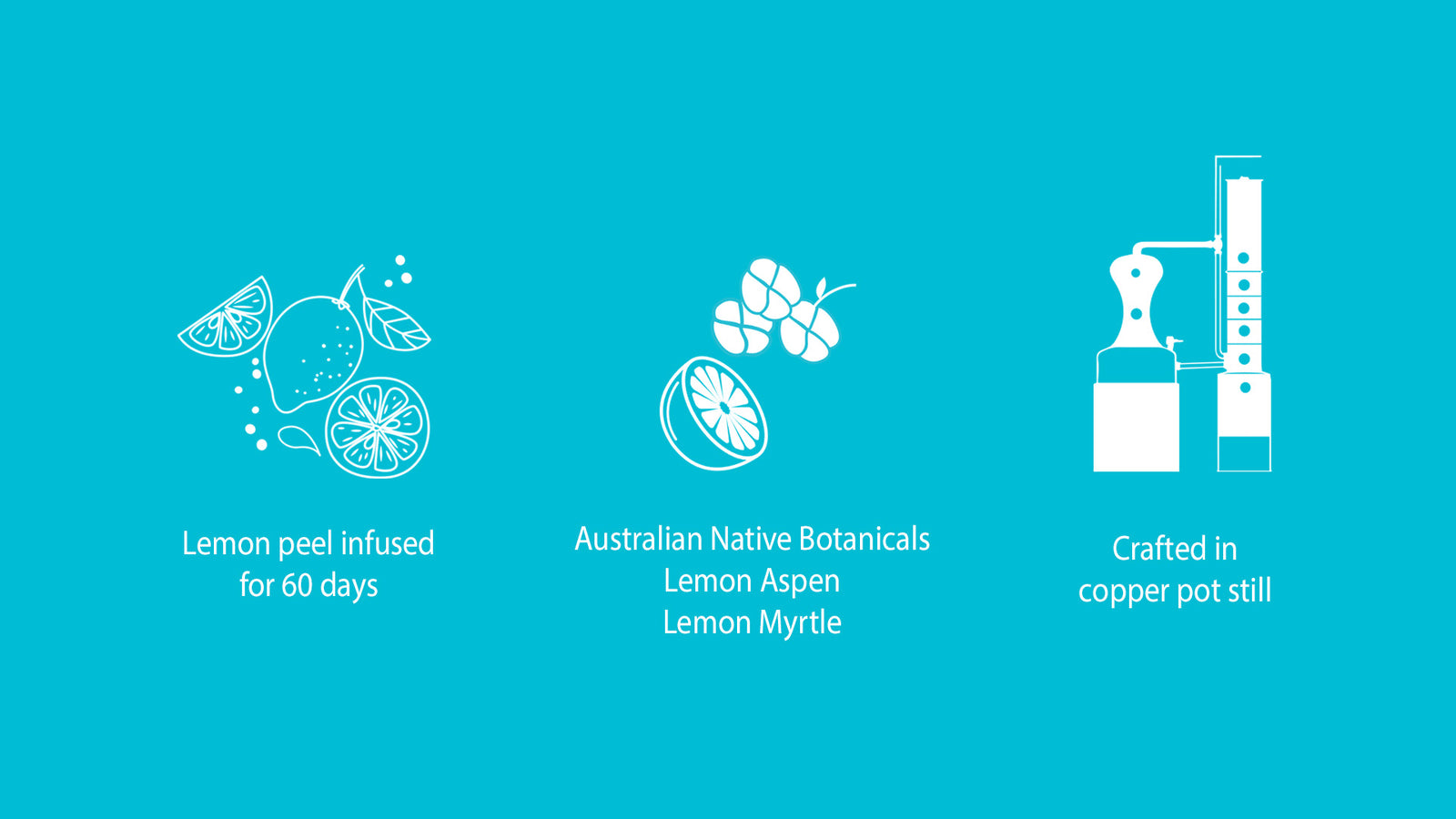 Zesty Limoncello | Shop Lemon Liqueur | Manly Spirits Co.