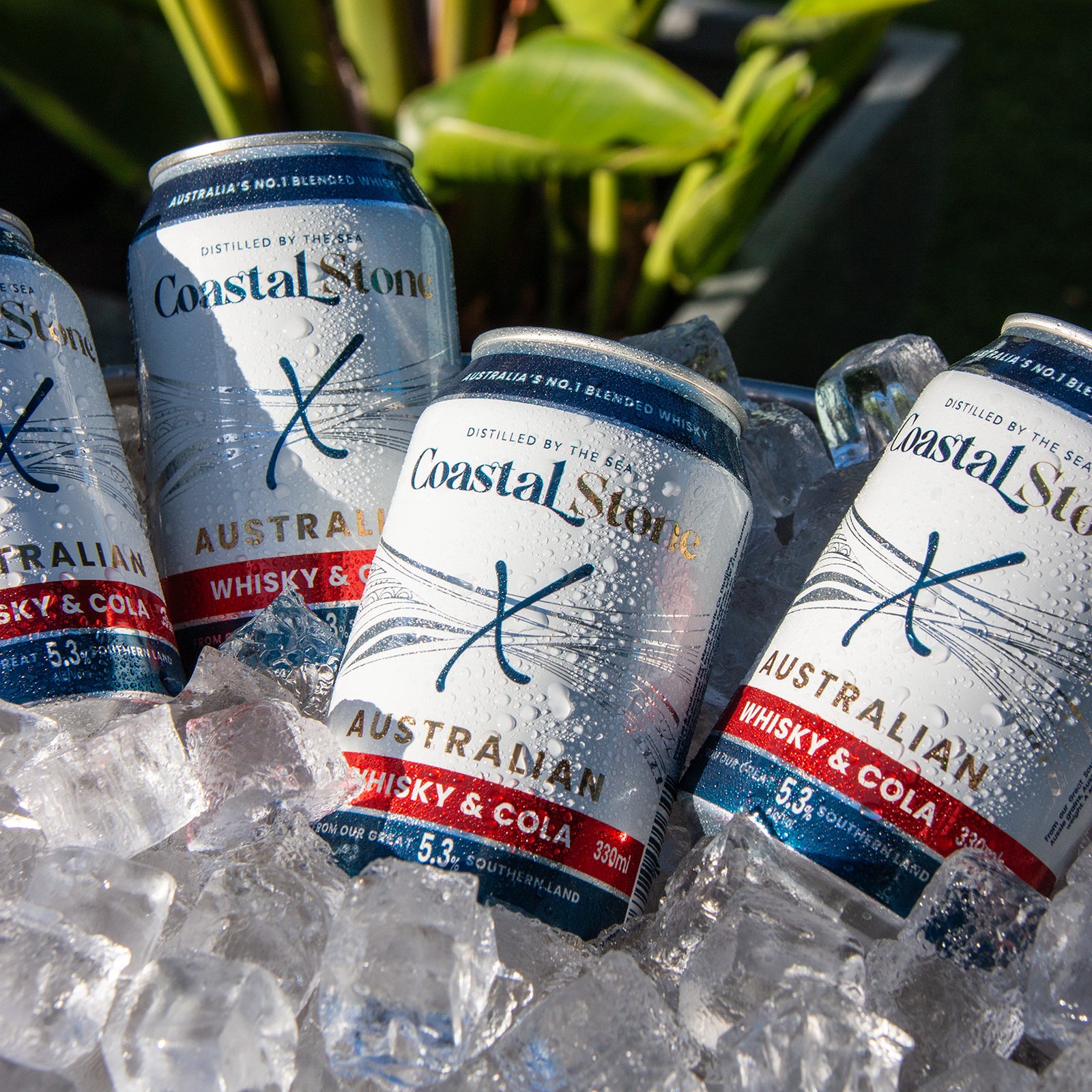 Xplore Whisky Premix – Manly Spirits Co.